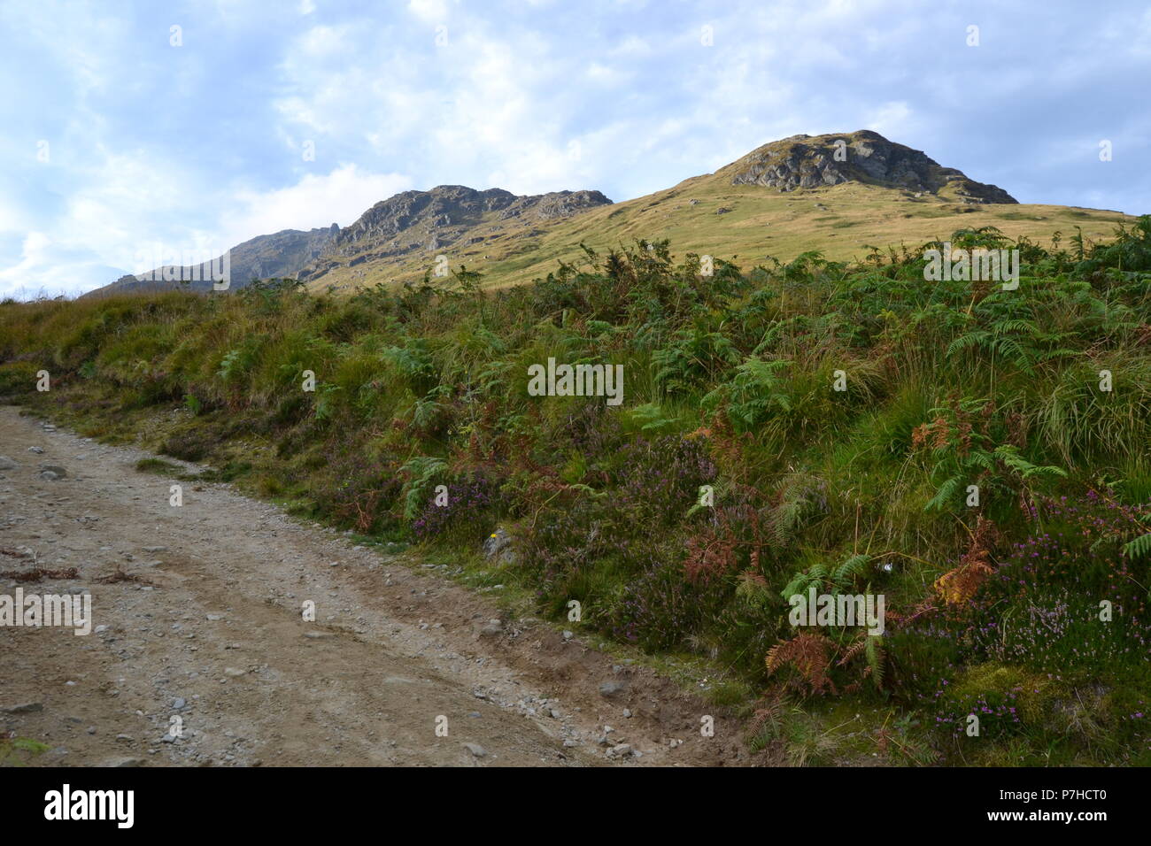 The Cobbler mountain in the Arrochar Alps, Scotland, Europe Stock Photo ...