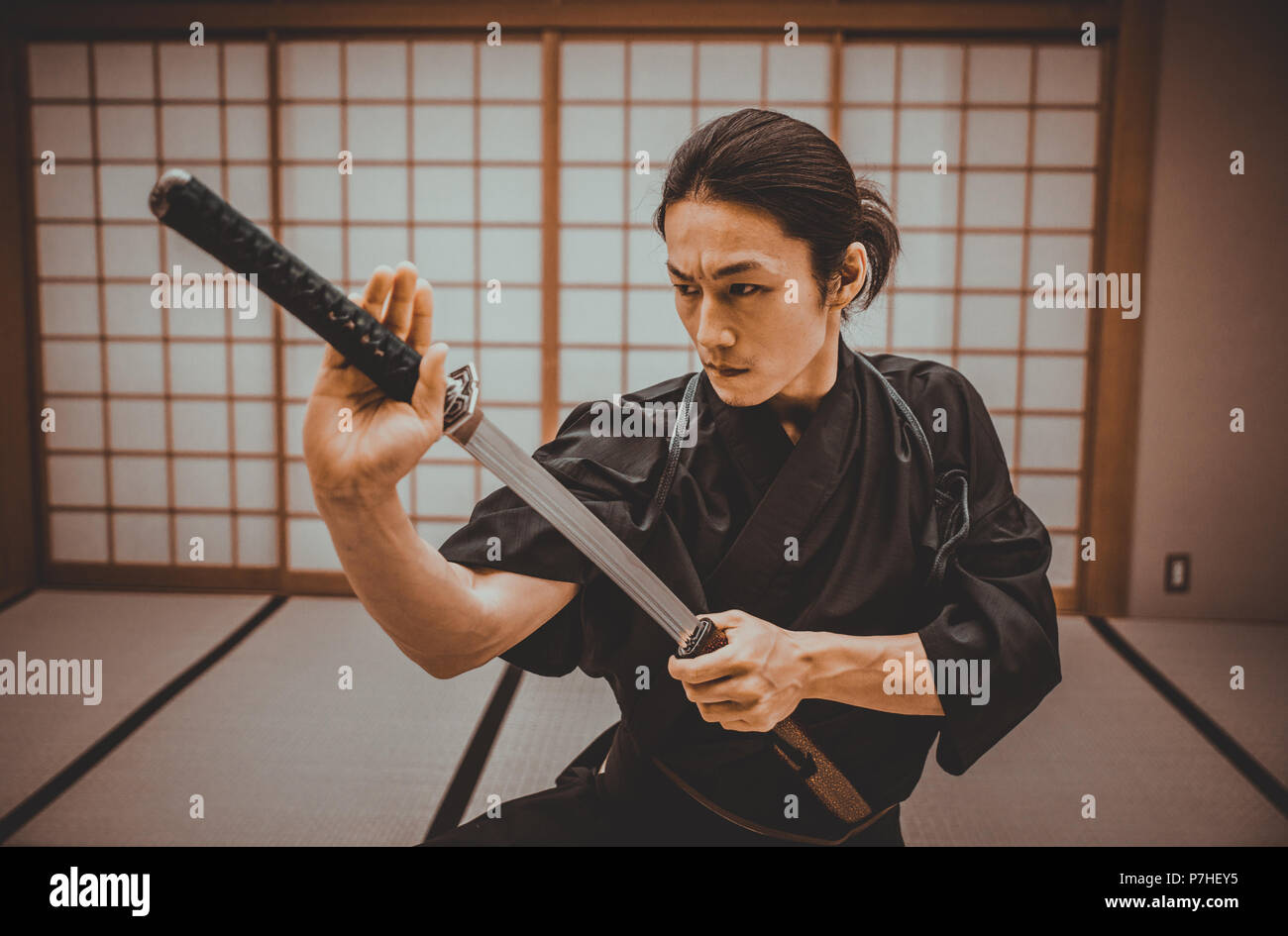 Samurai training in a traditional dojo, in Tokyo Stock Photo - Alamy