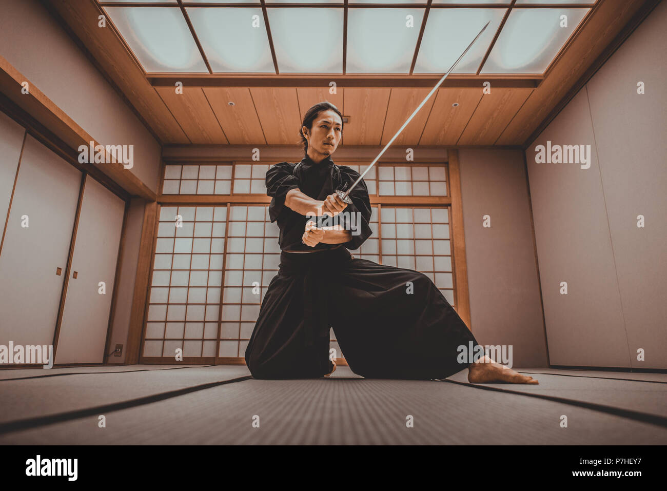 Samurai training in a traditional dojo, in Tokyo Stock Photo - Alamy