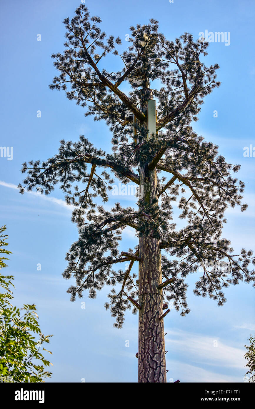 Mobile phone mast disguised tree hi-res stock photography and images ...