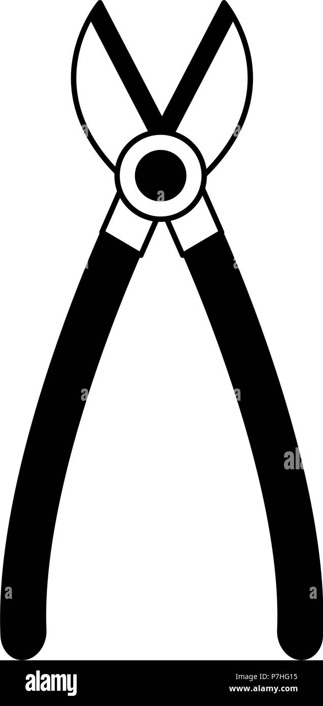 garden shears tool vector illustration graphic design Stock Vector ...