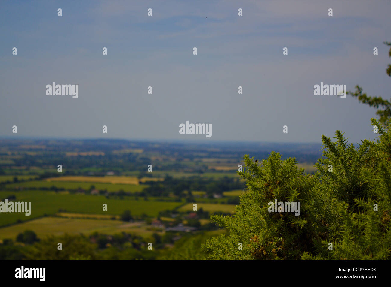 Coombe Hill View Stock Photo - Alamy