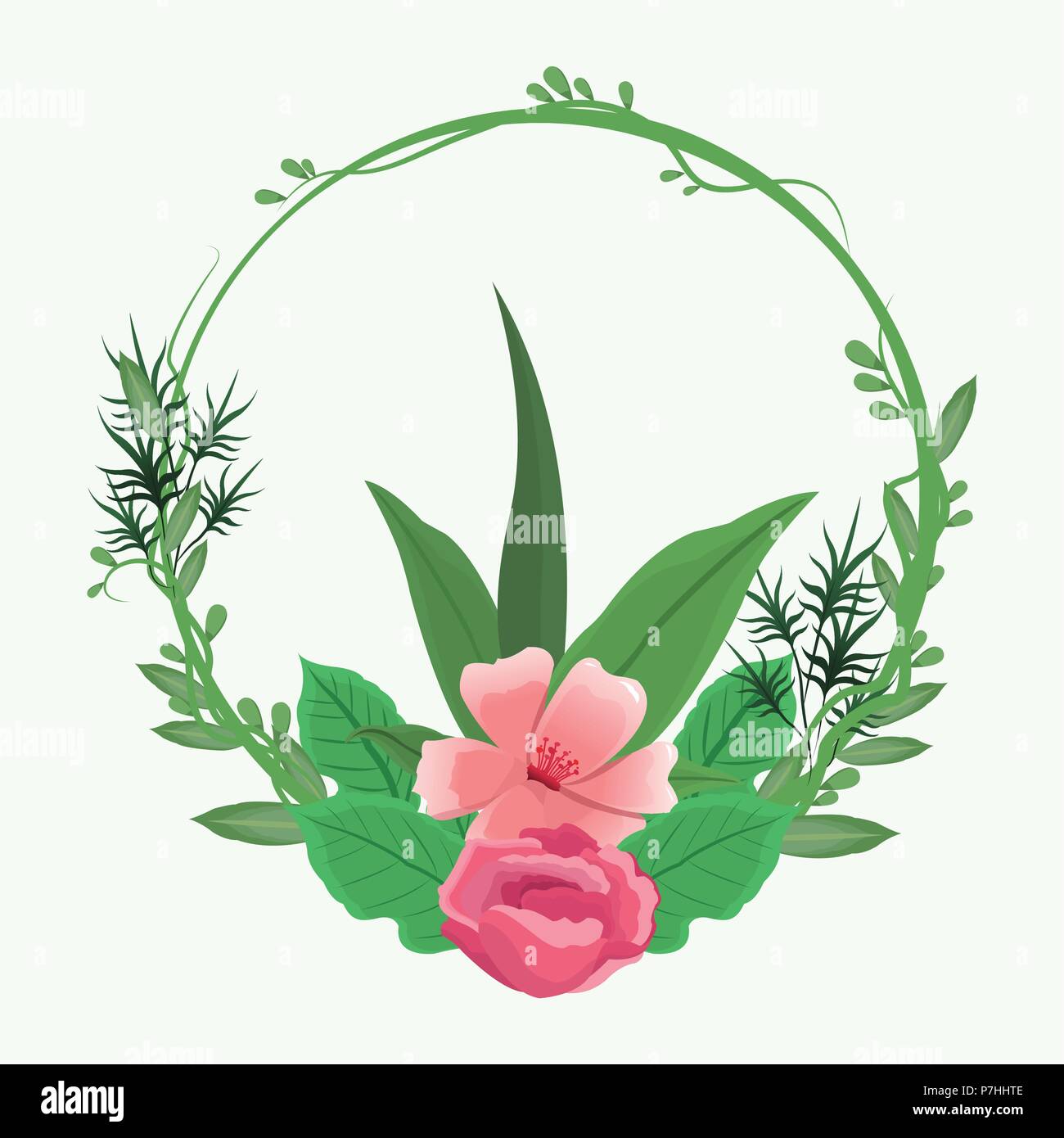 Decorative round frame pink flowers with leaves vector illustration ...
