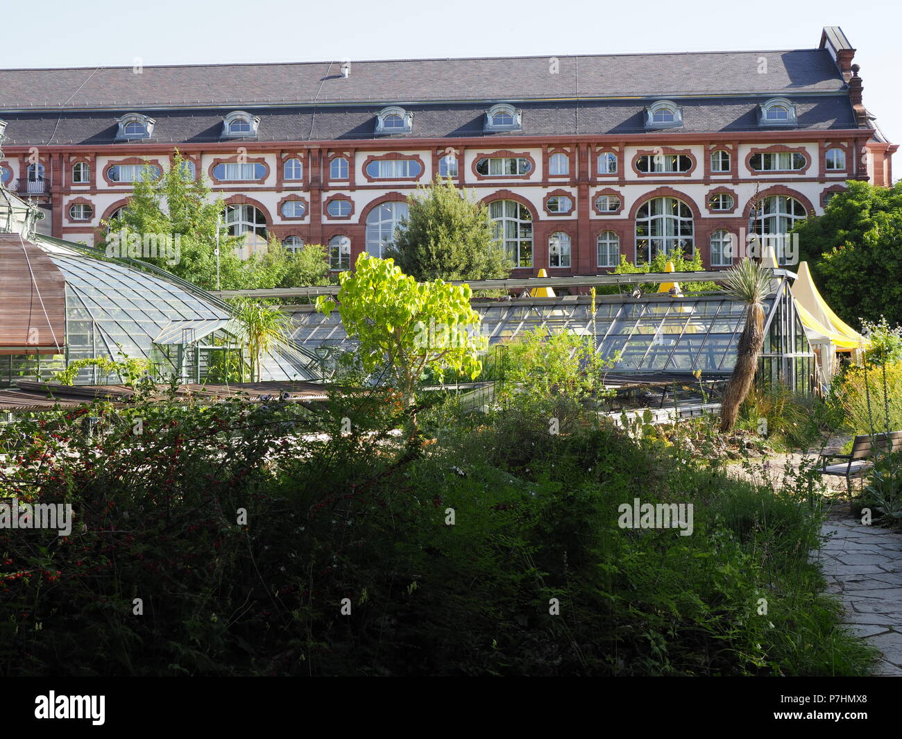 Botanical garden and university building at european Basel city in ...