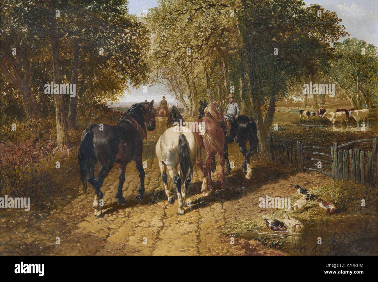 Herring II John Frederick - the Plough Team Returning Home Stock Photo ...