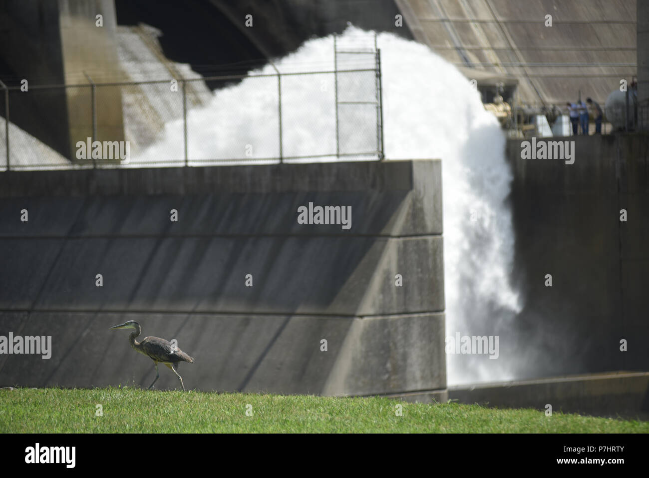 Several people watch water spray into the tailwater at J. Percy Priest ...