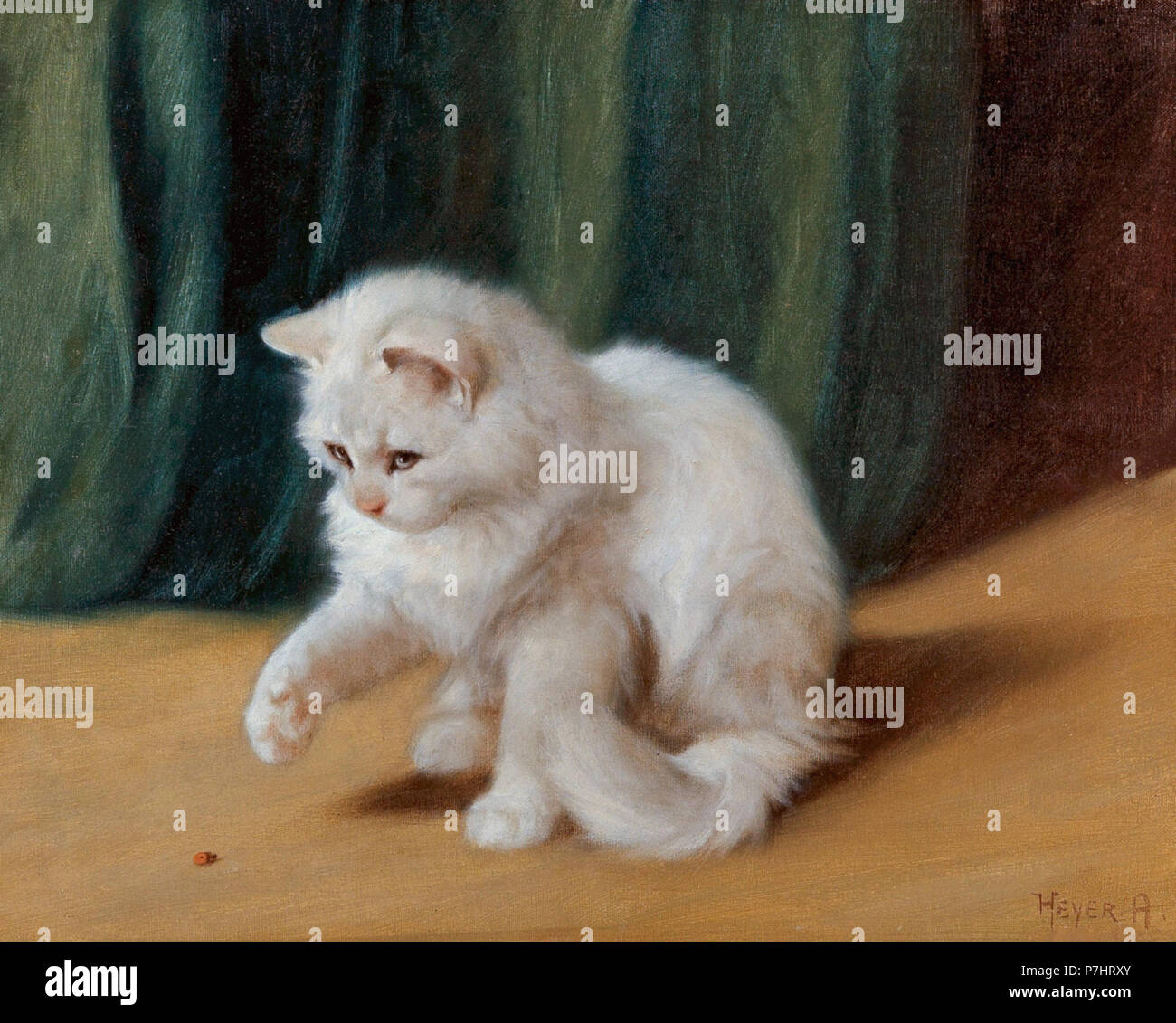 Arthur The Cat Stock Photos & Arthur The Cat Stock Images - Alamy