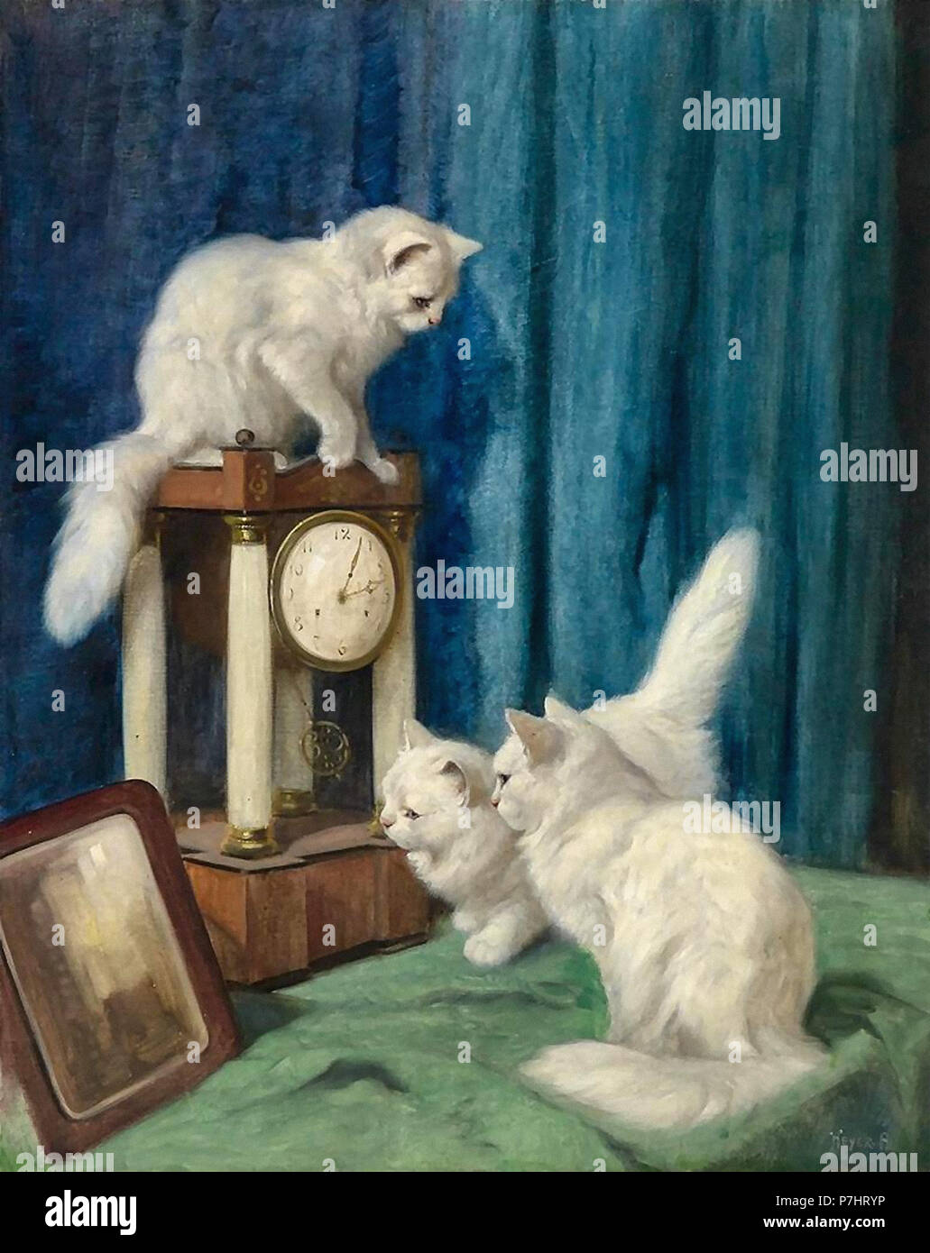 Heyer Arthur - Three Curious Cats Stock Photo - Alamy