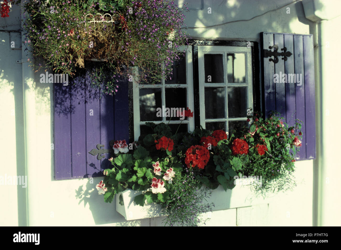 Cottage Window-Box with Shutters Stock Photo - Alamy