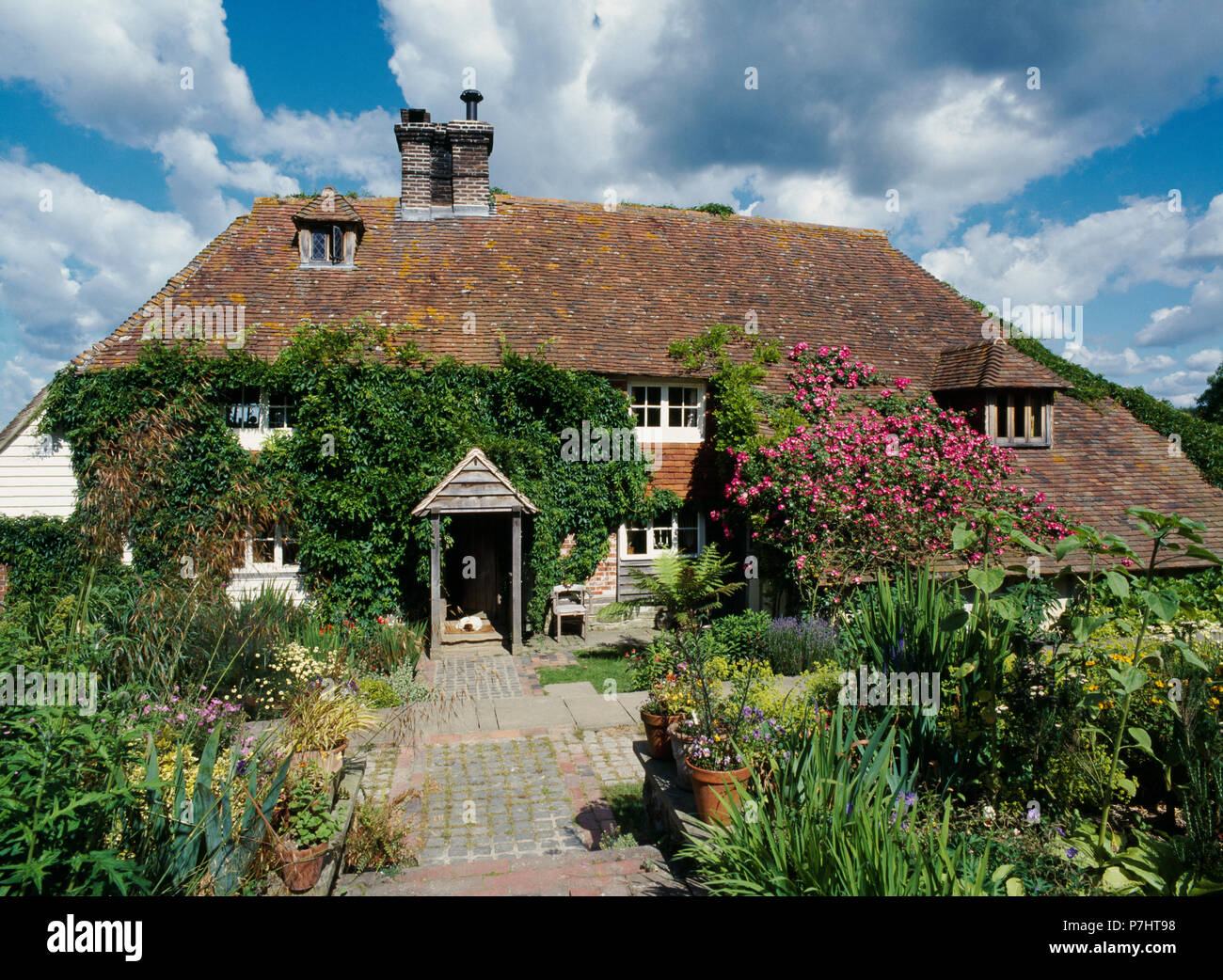 Path through summer garden to traditional ivy-clad country cottage ...