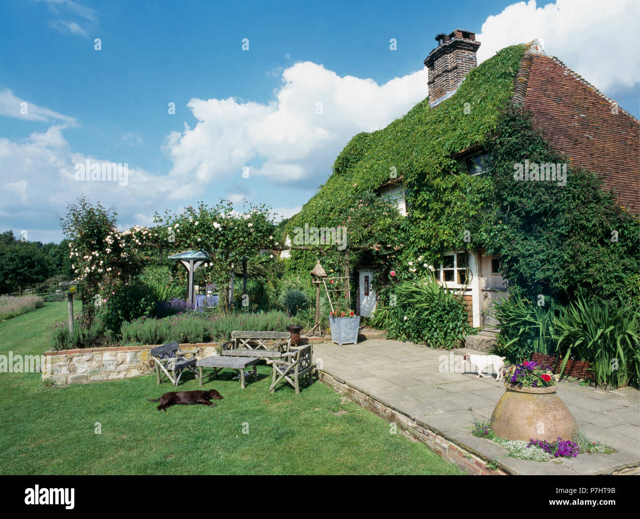 Traditional ivy-clad country cottage with large garden Stock Photo - Alamy
