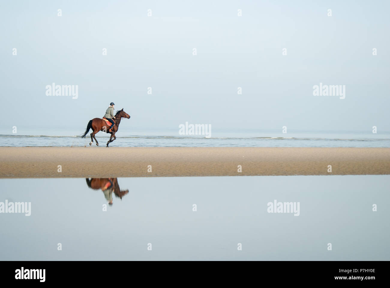 Relaxed horse hi-res stock photography and images - Alamy