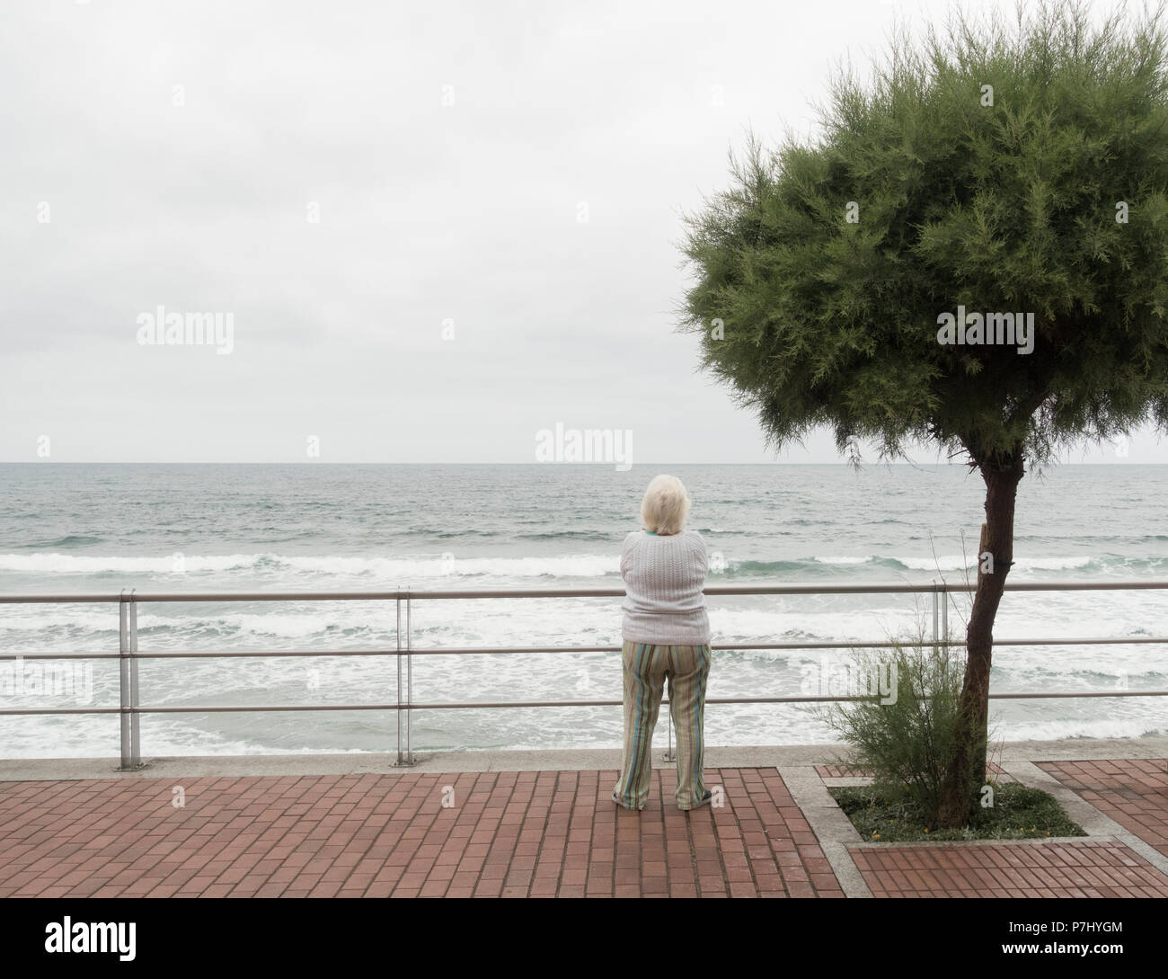 Rear view of old elderly woman person looking out of hi-res stock ...