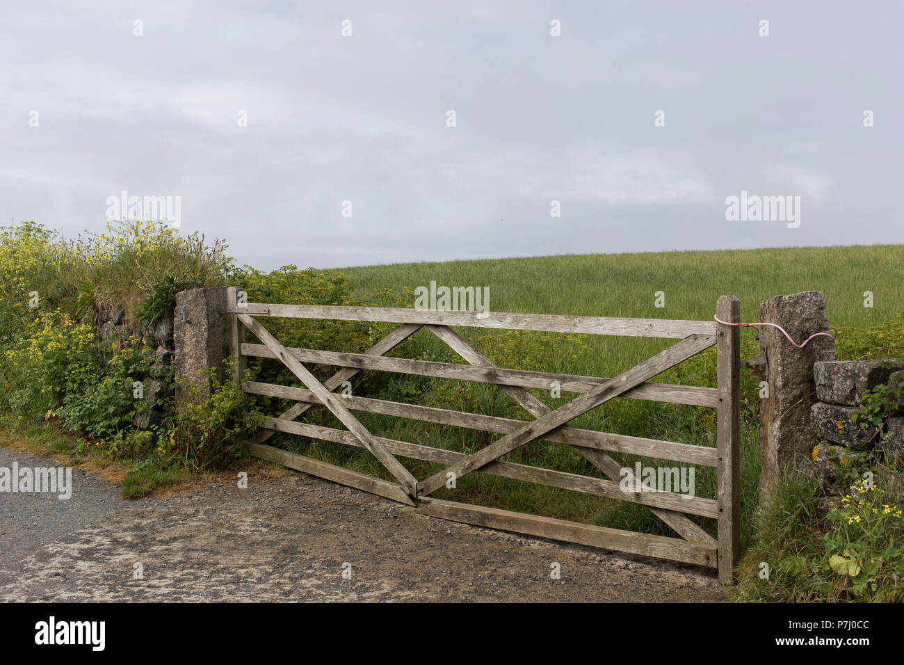 Farm gate in the English countryside, Lizard peninsula, Cornwall ...