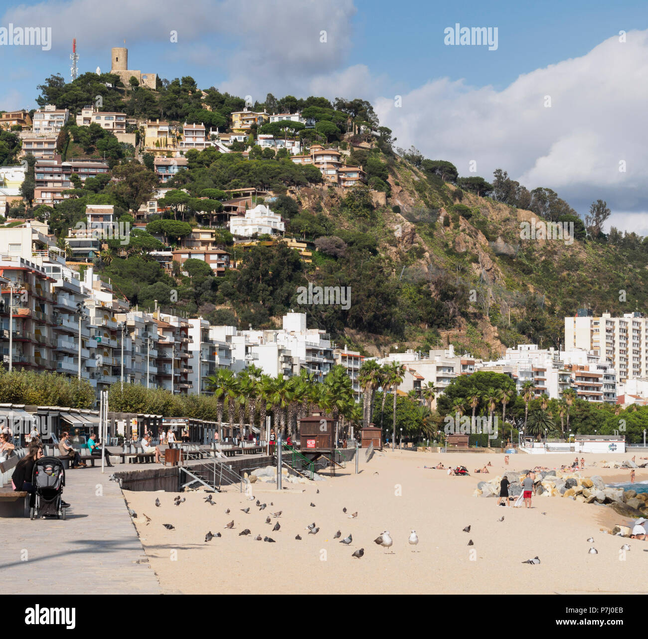 St blanes hi-res stock photography and images - Alamy