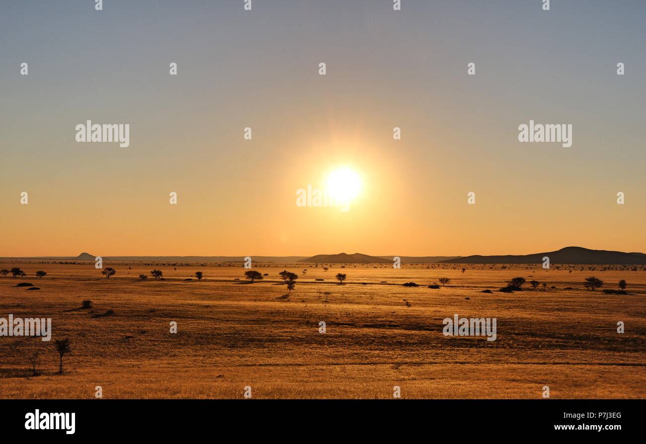 Setting sun over golden Namibian bush Stock Photo - Alamy