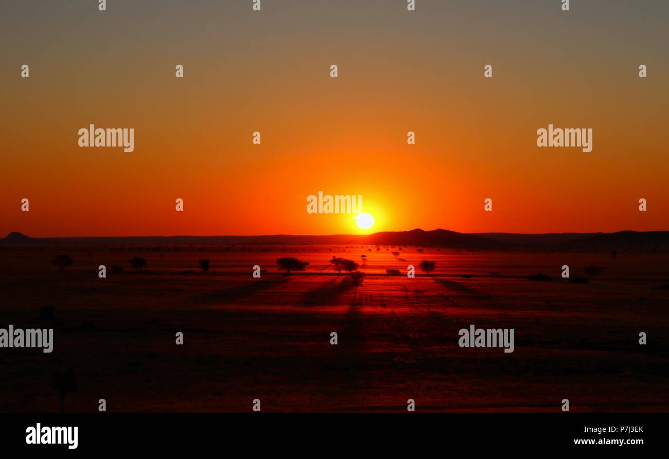 Setting sun over golden Namibian bush Stock Photo - Alamy