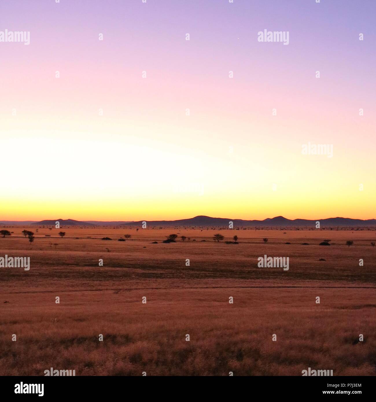 Setting sun over golden Namibian bush Stock Photo - Alamy