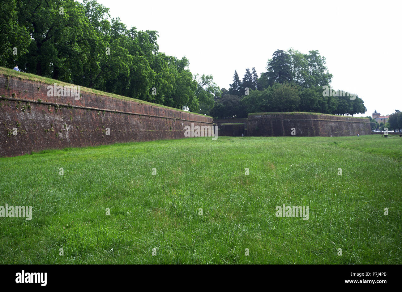 The walls that provided fortifications for Lucca Stock Photo - Alamy