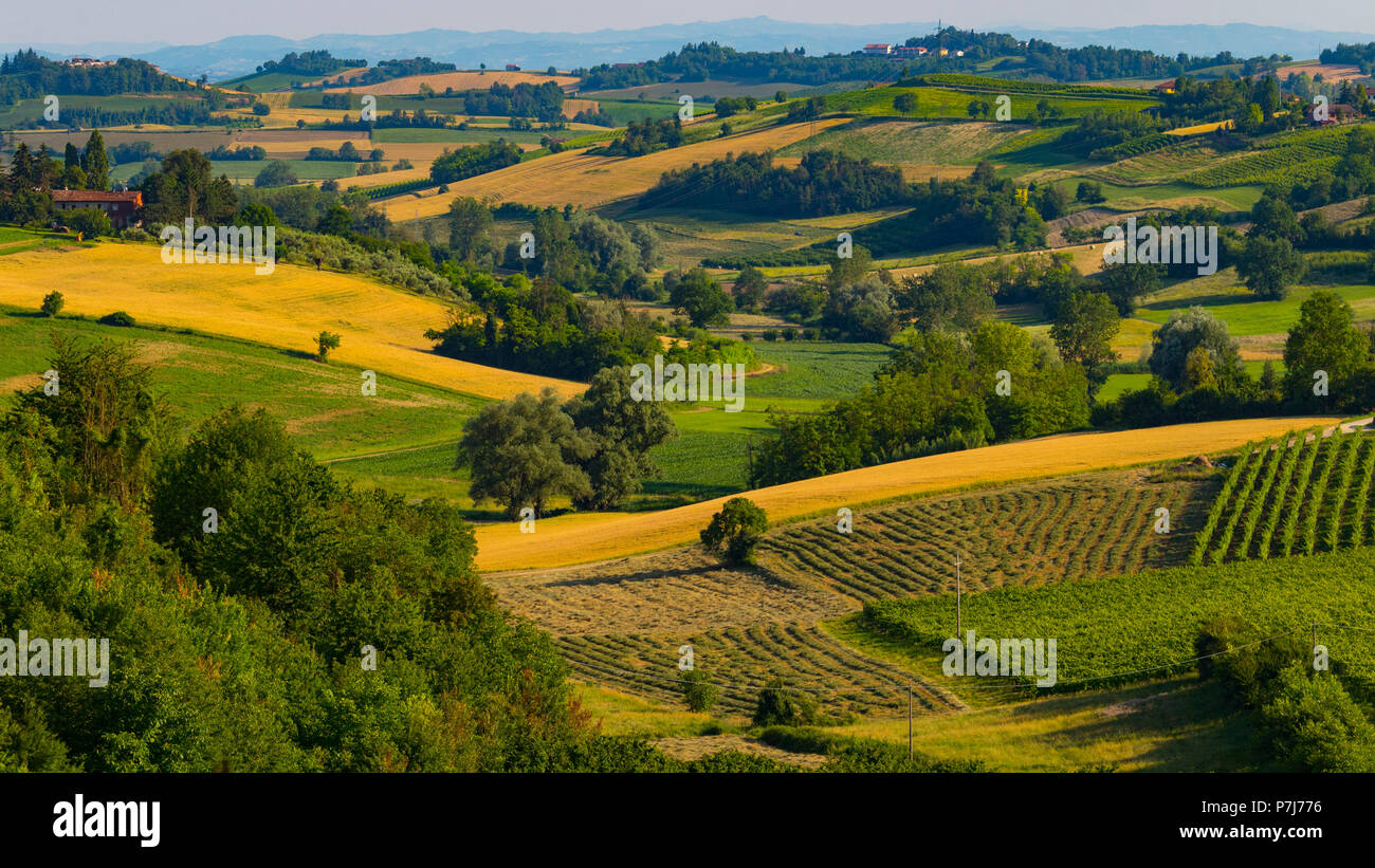 Rice Field Italy Piedmont High Resolution Stock Photography and Images ...