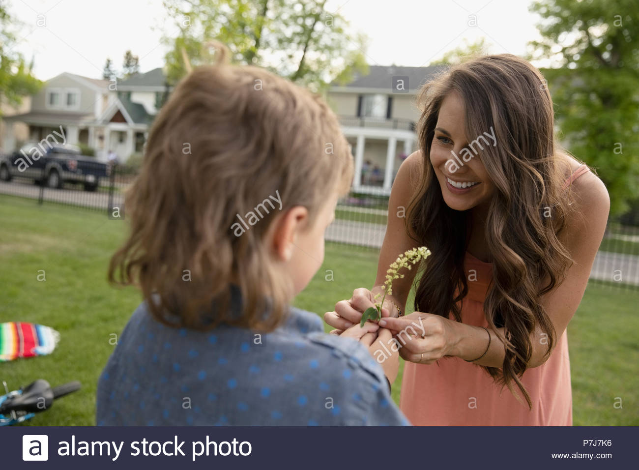 Son flower hi-res stock photography and images - Alamy