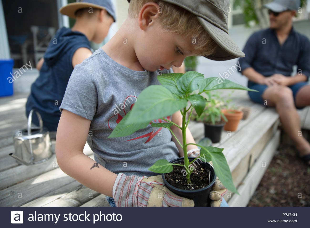 Boy planting hi-res stock photography and images - Alamy