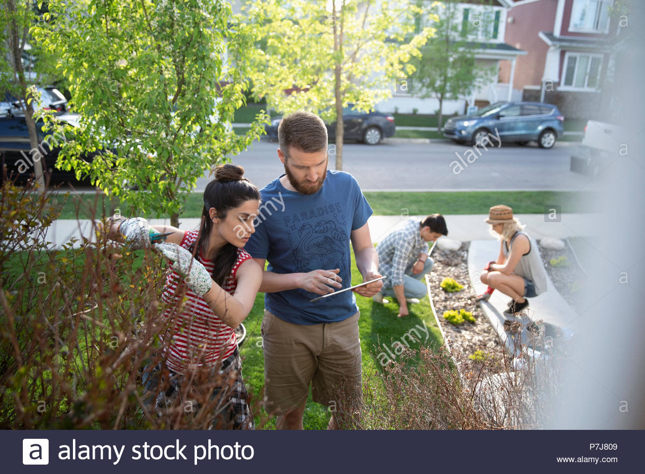 Yard Work Stock Photos & Yard Work Stock Images - Alamy