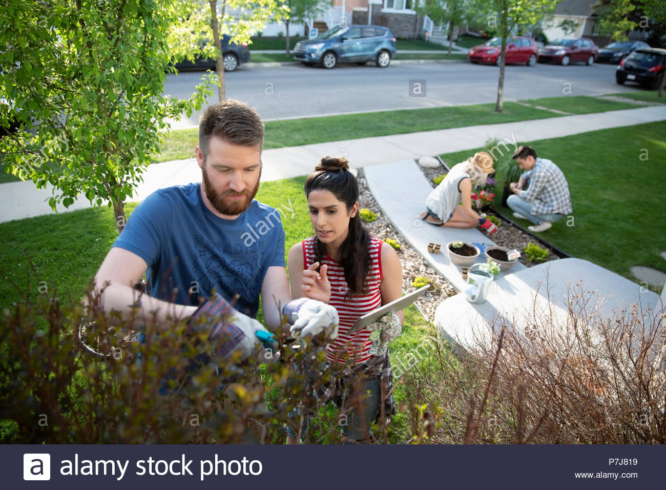 Work in the yard hi-res stock photography and images - Alamy