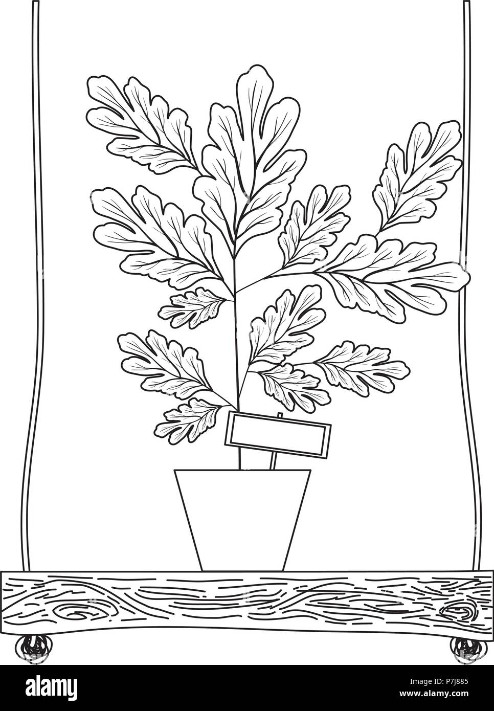 Hanging garden decor Black and White Stock Photos & Images - Alamy