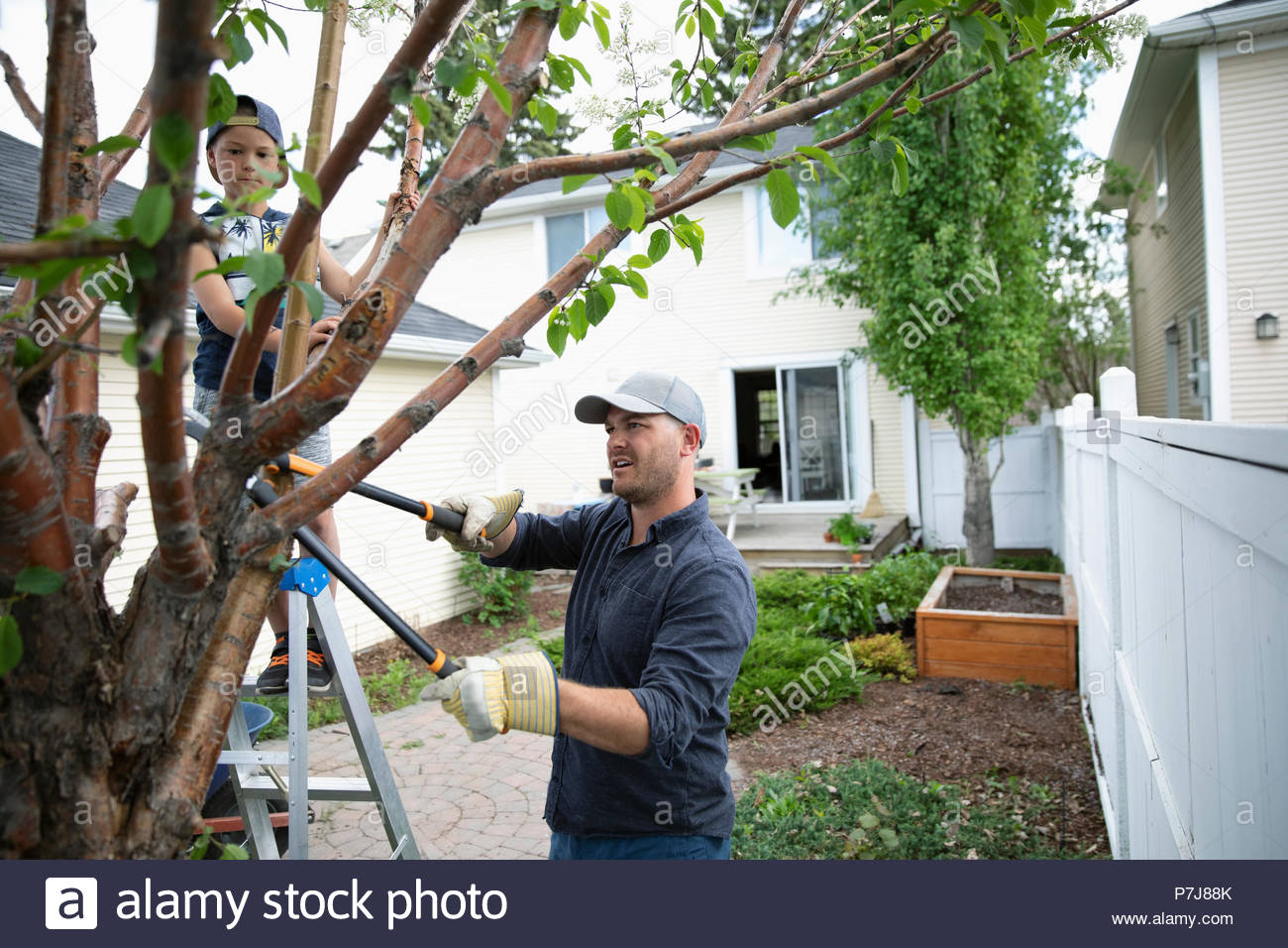 Yardwork hi-res stock photography and images - Alamy
