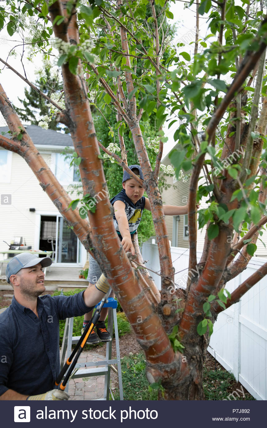 Yardwork hi-res stock photography and images - Alamy