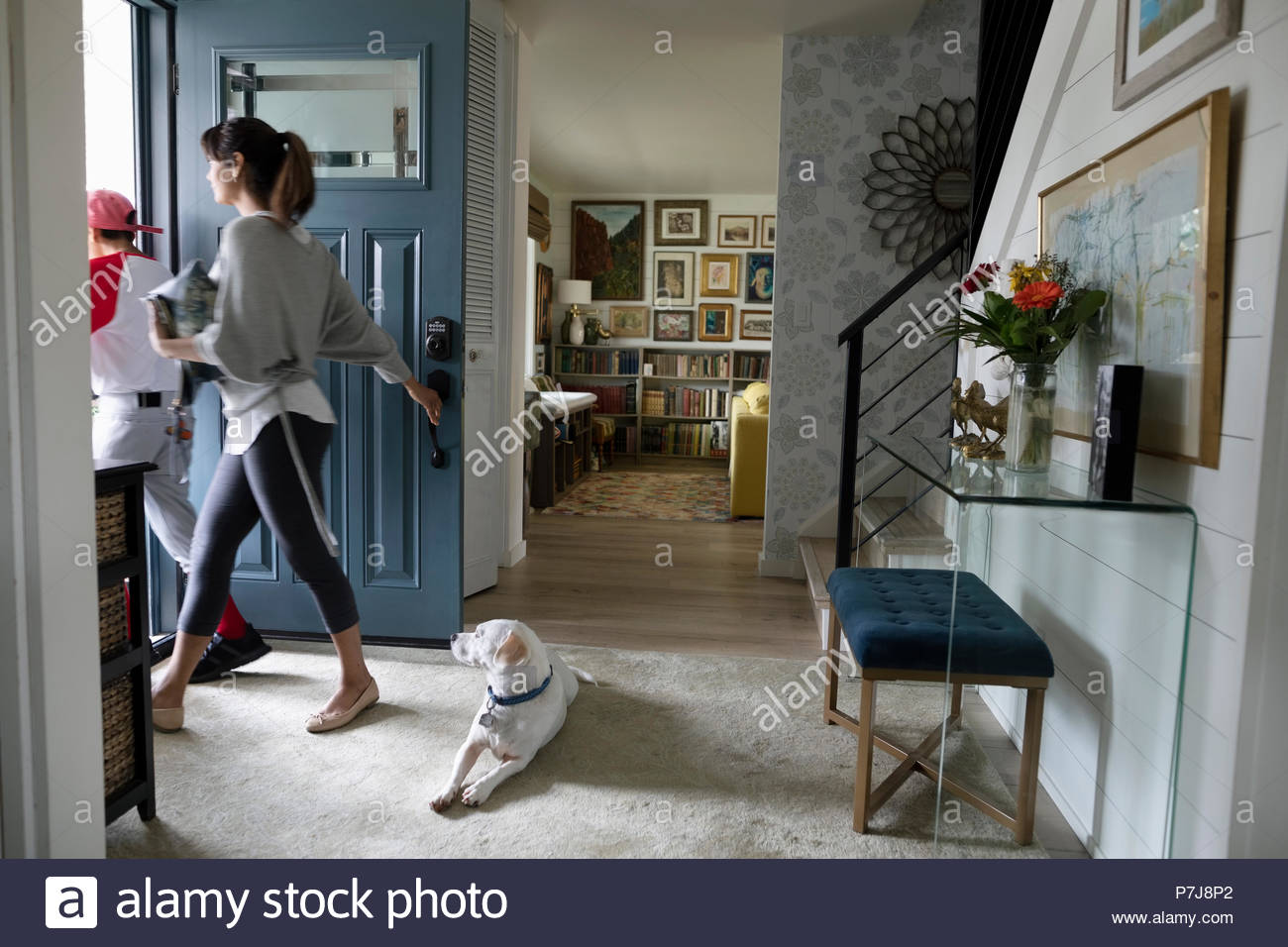 Dog watching people leaving hi-res stock photography and images - Alamy