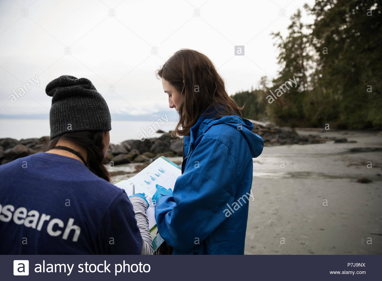 Environmental scientist beach hi-res stock photography and images - Alamy