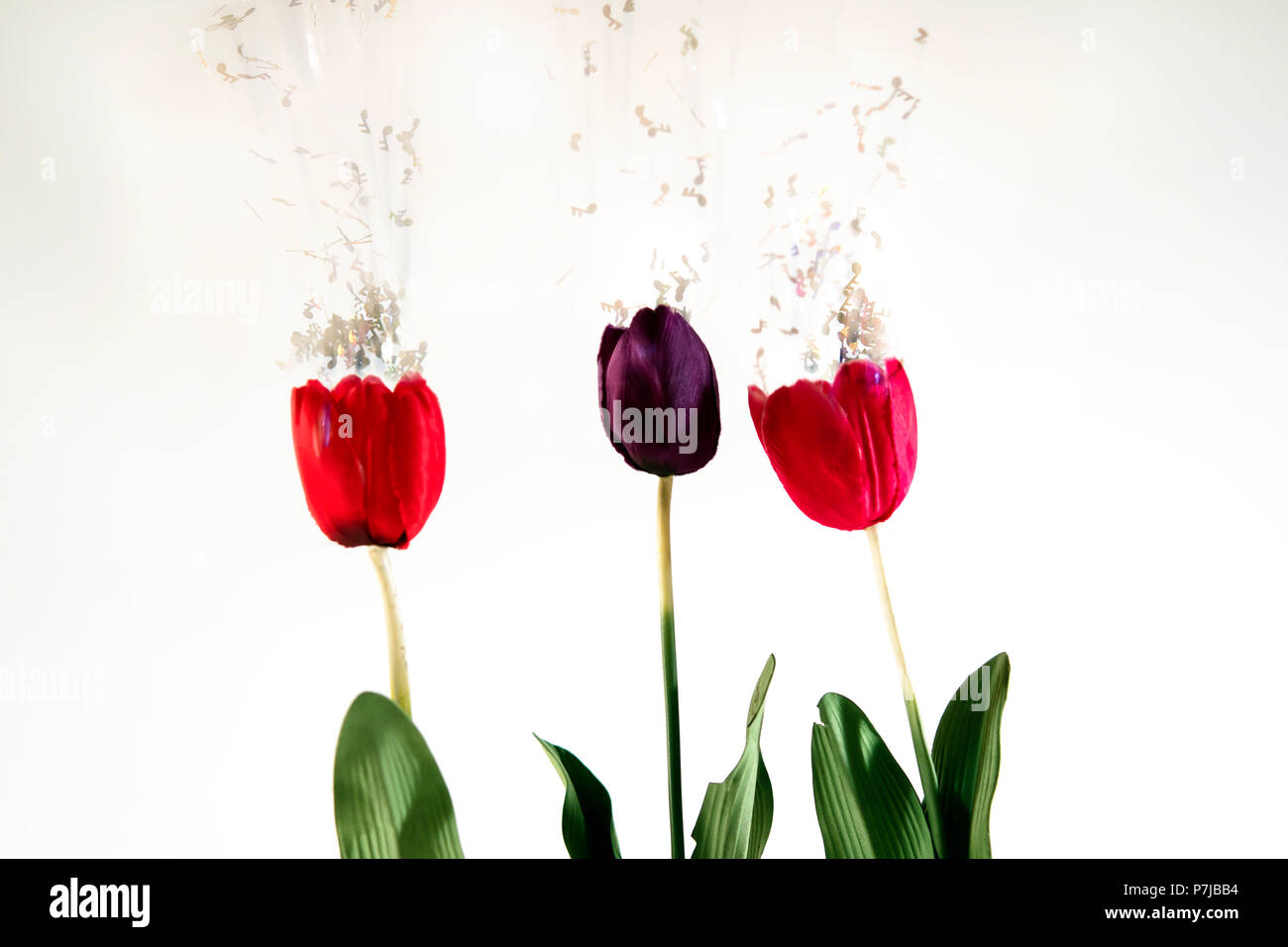 Conceptual musical note hi-res stock photography and images - Alamy