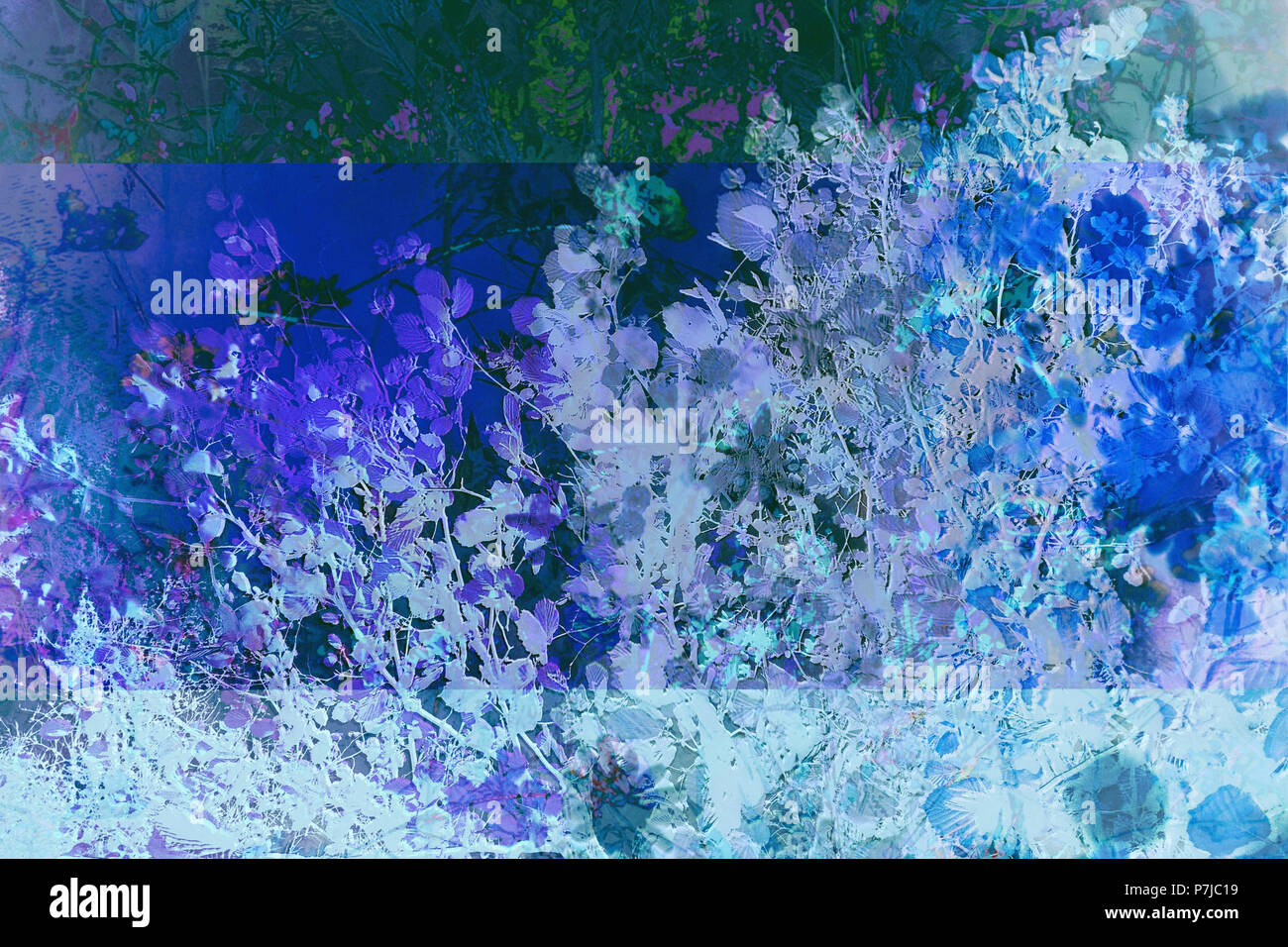 Overlapping trees hi-res stock photography and images - Alamy