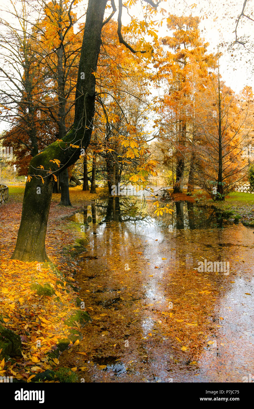 Beauty milan hi-res stock photography and images - Alamy