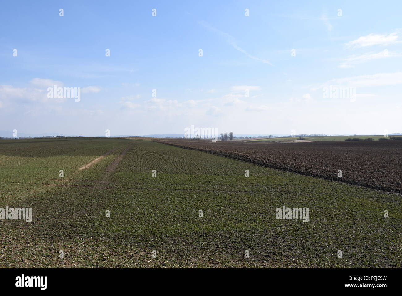 Aholming, Felder, Feld, Acker, gepflügt, umgepflügt, Scholle, Erde ...