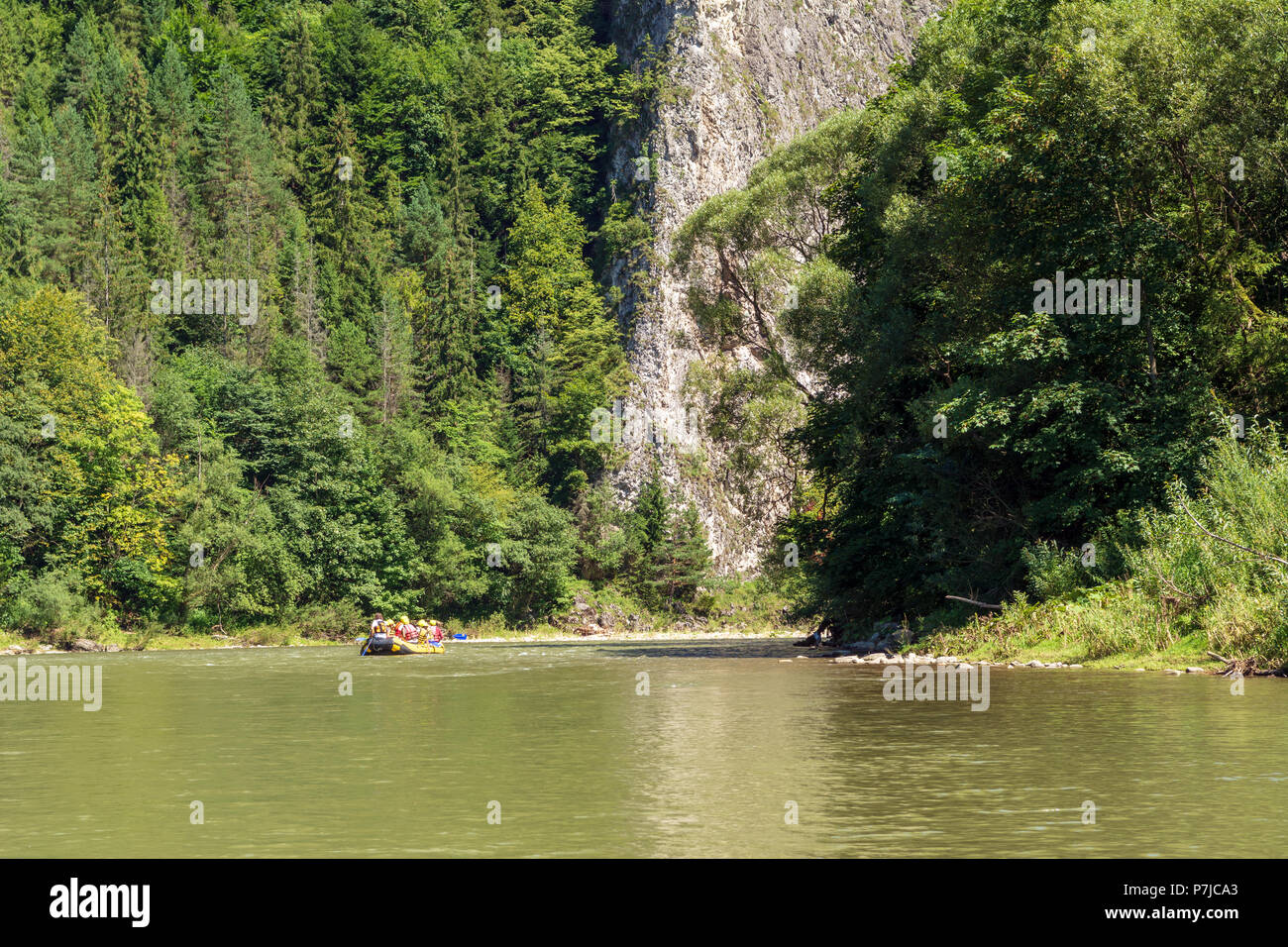 Rafting on the Dunajec river in the Pieniny National Park. Szczawnica ...