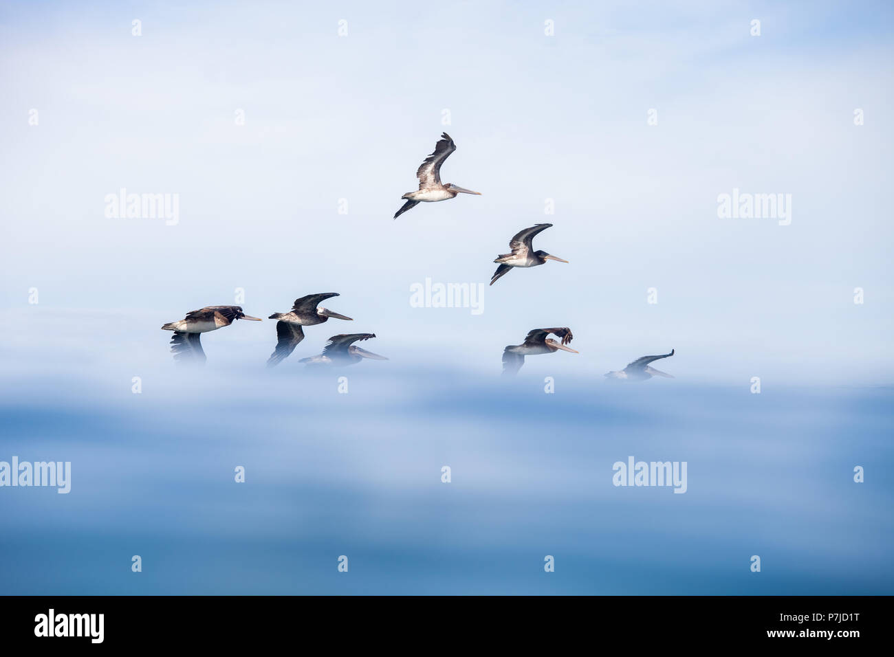 Flying over pacific ocean hi-res stock photography and images - Alamy