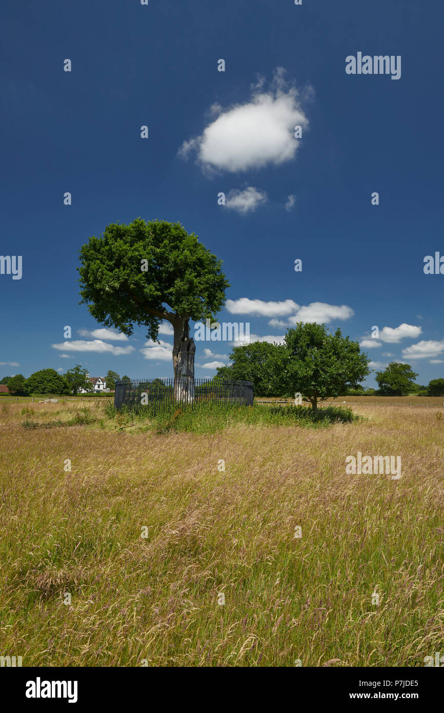 Royal oak boscobel hi-res stock photography and images - Alamy