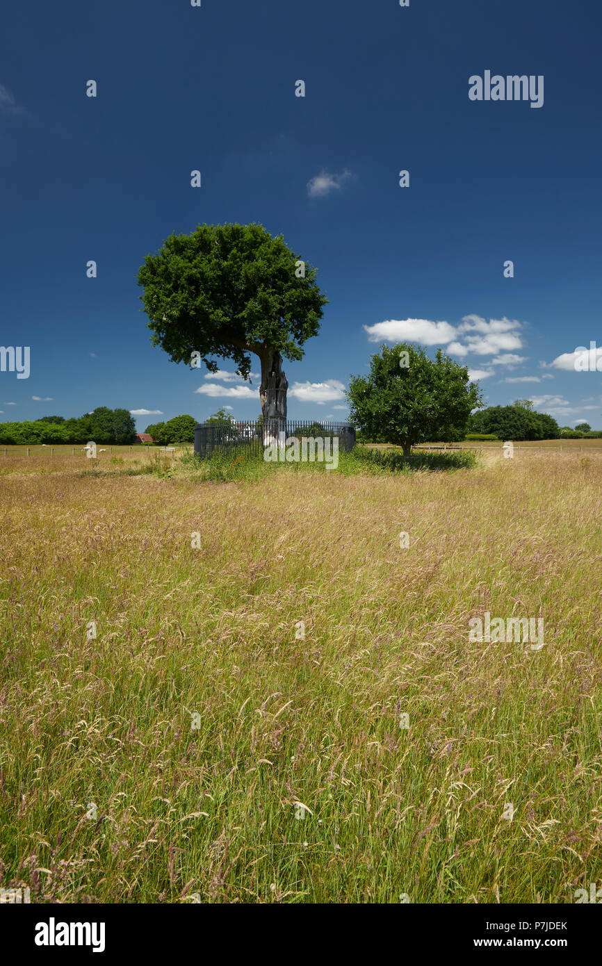 Royal oak boscobel house shropshire hi-res stock photography and images ...