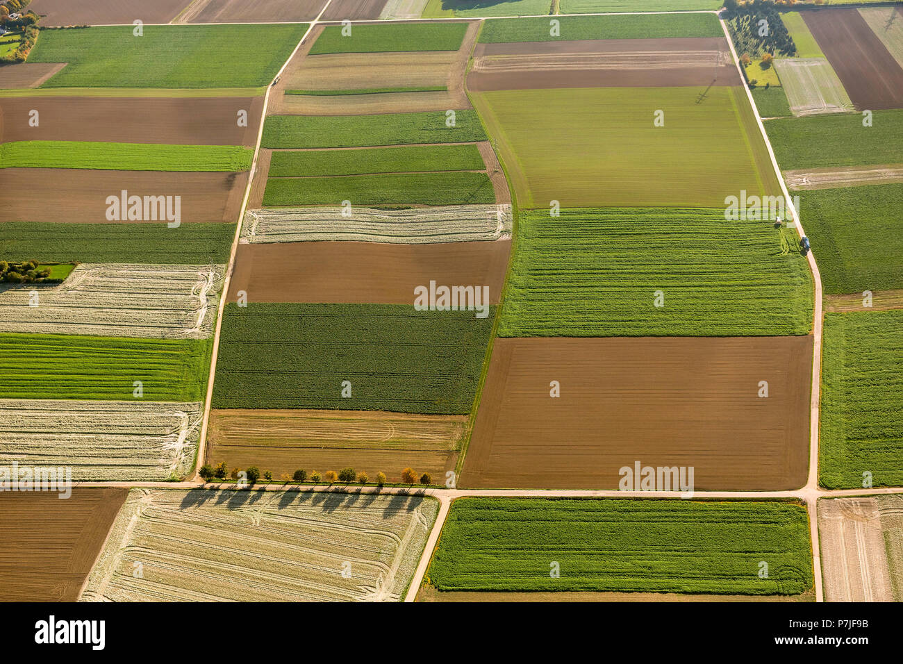 Europe field pattern hi-res stock photography and images - Alamy