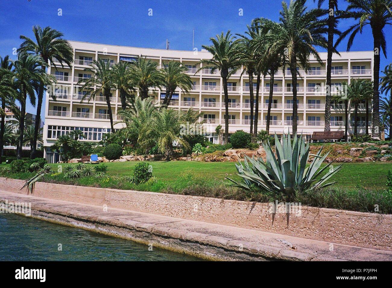 Concave palm tree hi-res stock photography and images - Alamy