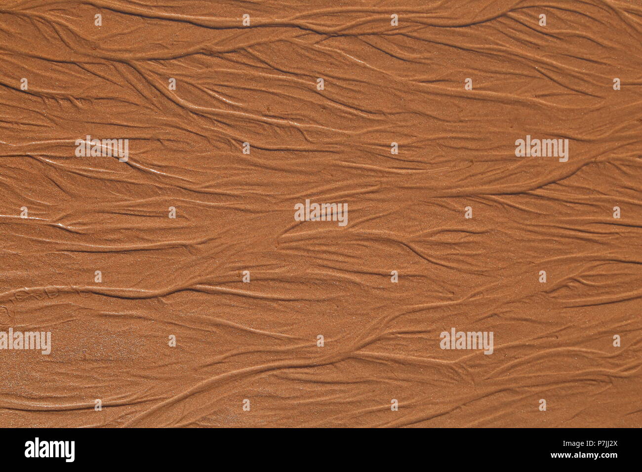 Beach sand detail hi-res stock photography and images - Alamy
