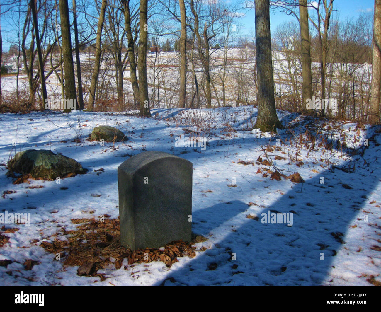 24th MI Infantry Iron Brigade Marker Stock Photo - Alamy