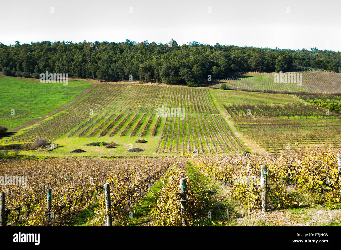 Bickley valley hi-res stock photography and images - Alamy