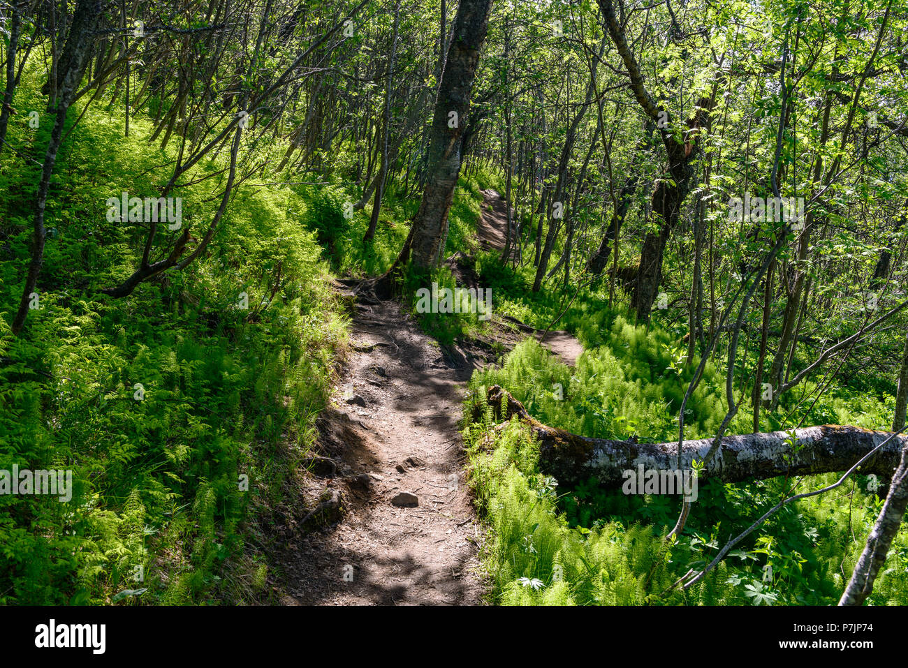 Floya trail hi-res stock photography and images - Alamy