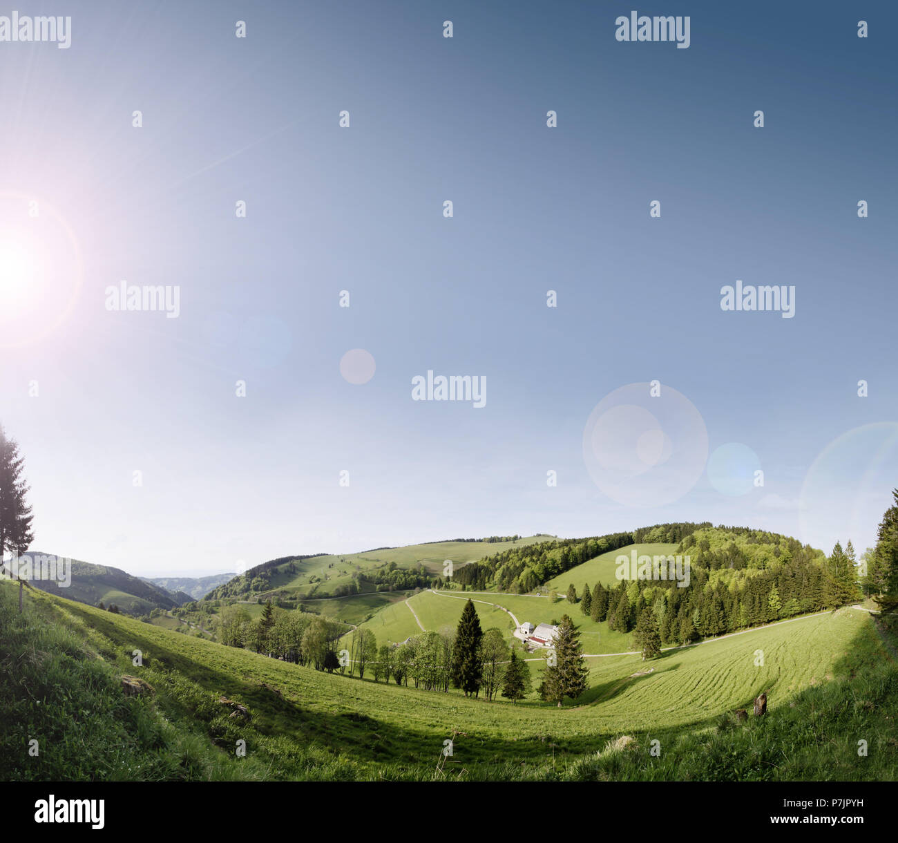 Black forest panorama hi-res stock photography and images - Alamy
