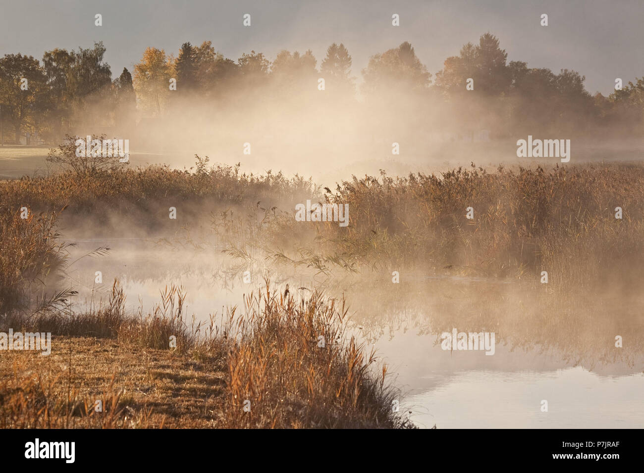Autumn in Uffing at lake Staffelsee, Upper Bavaria, Bavaria, Germany ...