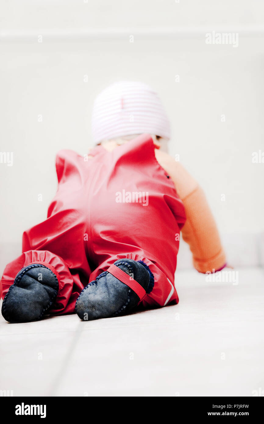 Infant, back view, creep Stock Photo - Alamy